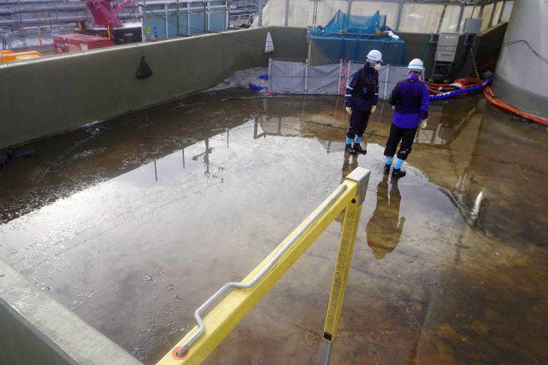 Treated water release resumes at Fukushima nuclear plant after pause