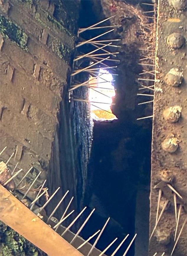 Sinkholes suspend trains to Gatwick Airport as 'tempers flare' in queue ...