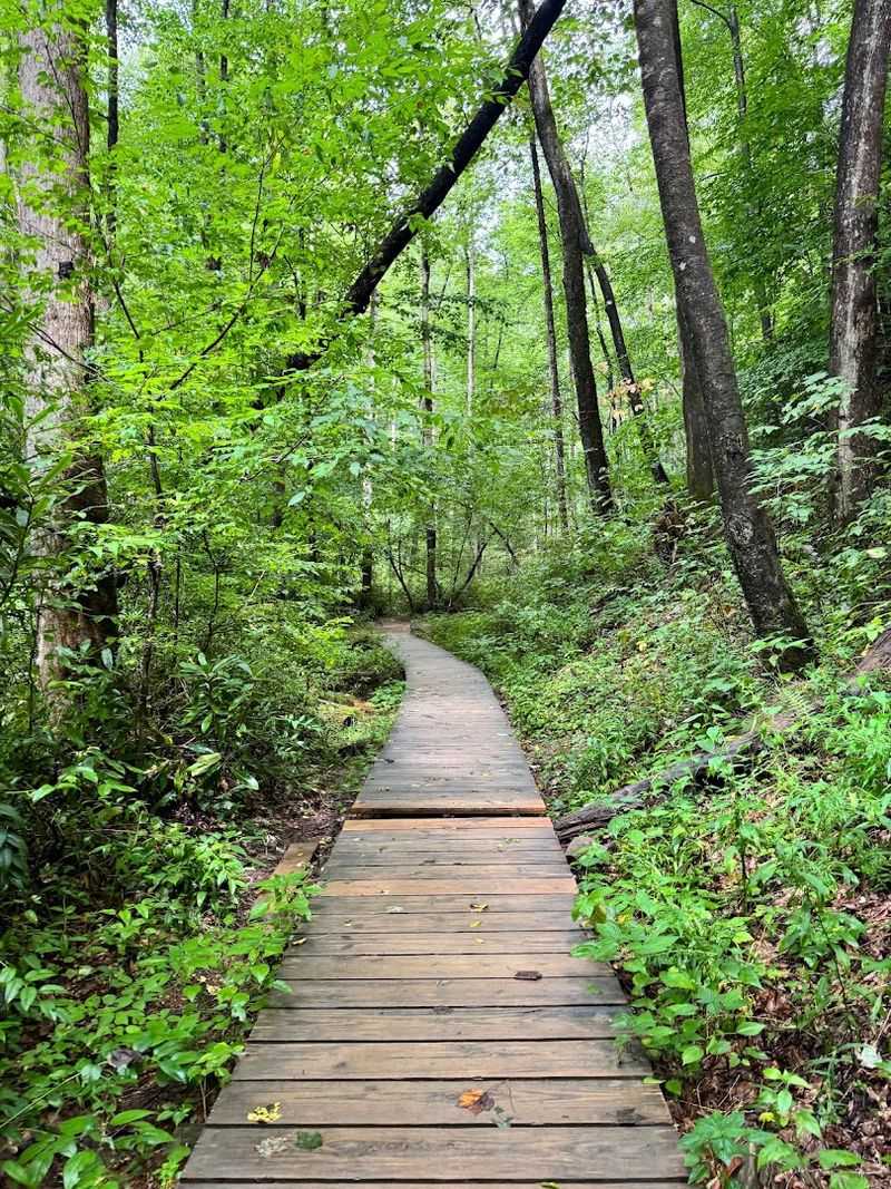 This whimsical North Carolina mountain trail transforms a regular ...