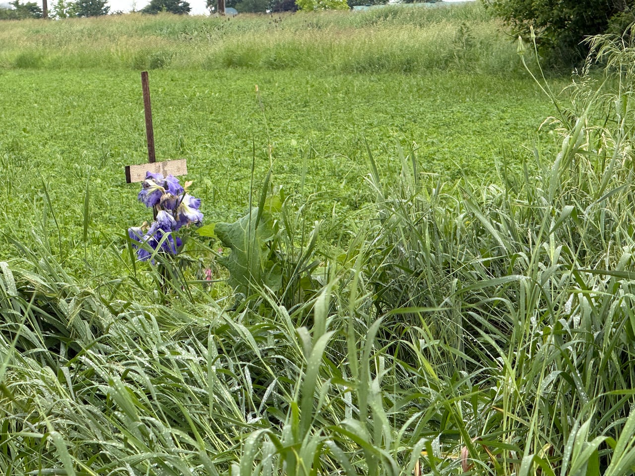 Rural Ontario communities reeling with grief after crash that killed 5 ...