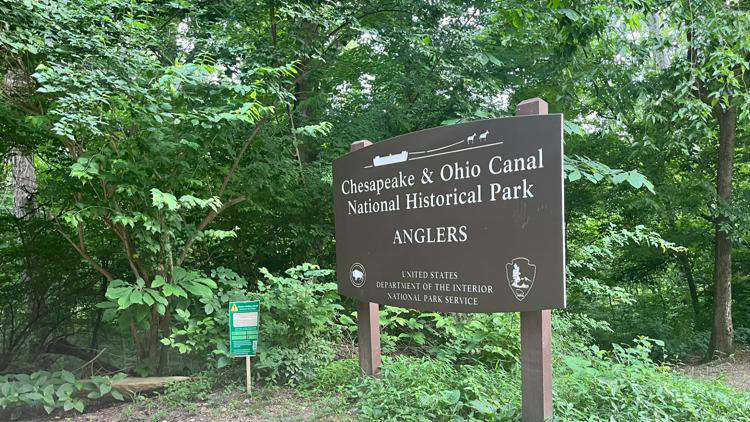Police search for missing swimmer in Potomac River