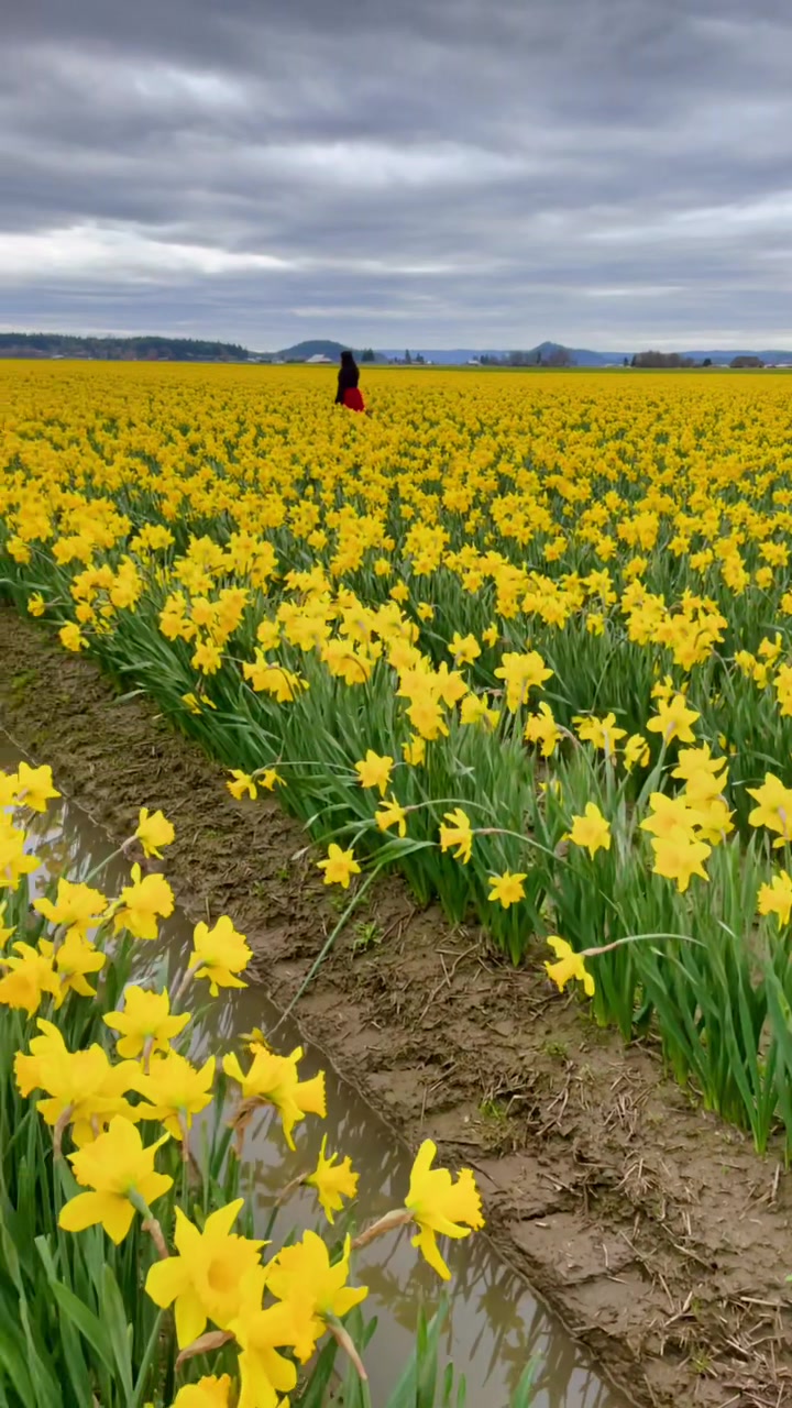 Slow down and reconnect with nature in Washington