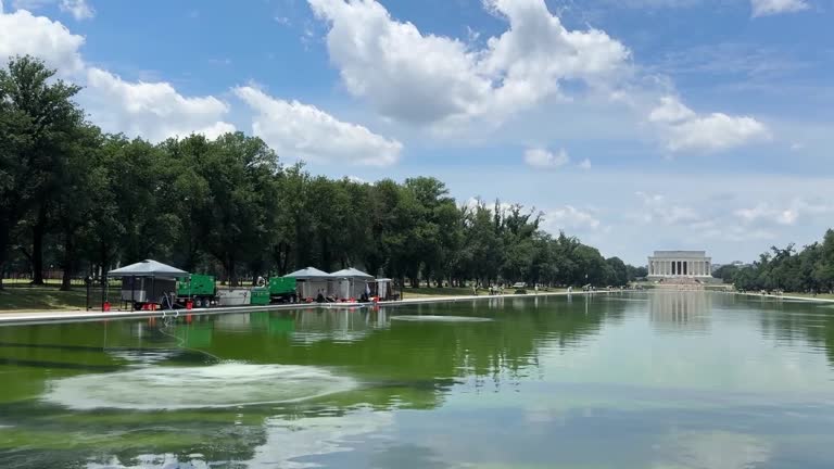Algae turns Reflecting Pool green, despite 'American flag blue' plan