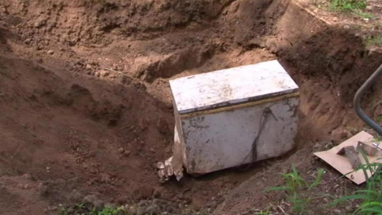 Man dismembered, body hidden in freezer
