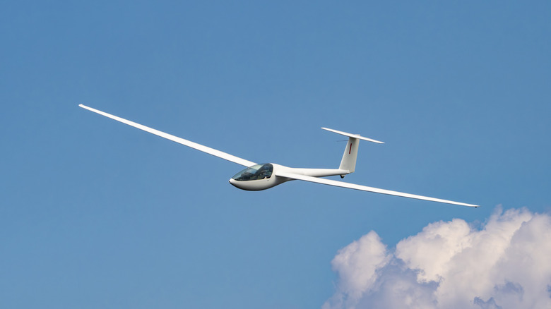 Glider pilots shatter record with 10 hour non-stop flight