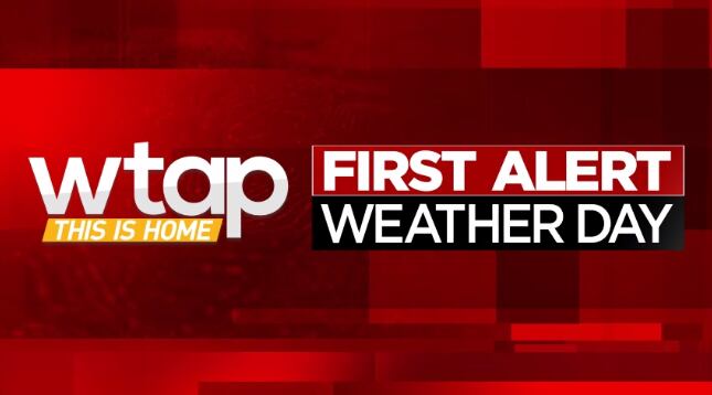 Multiple trees down in Wood County following Sunday’s storms