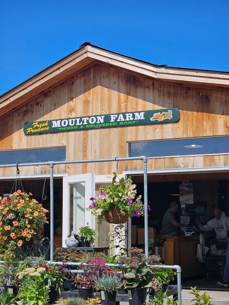 10 cozy New Hampshire farm stands selling warm pies and award-winning ...