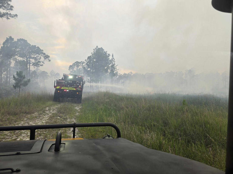 Firefighers contain 115-acre brushfire in Martin County