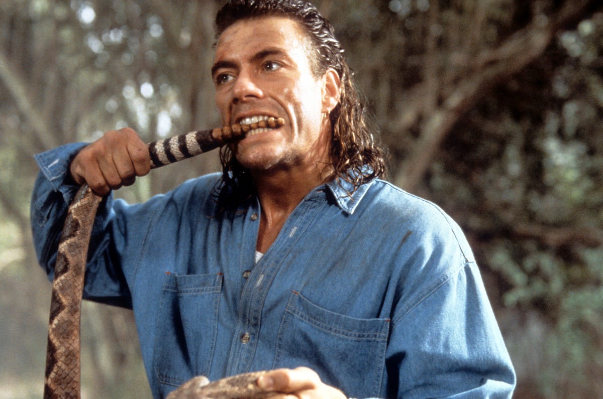 Experto en Van Damme: "Es interesante cómo alguien pasa de 'Contacto ...