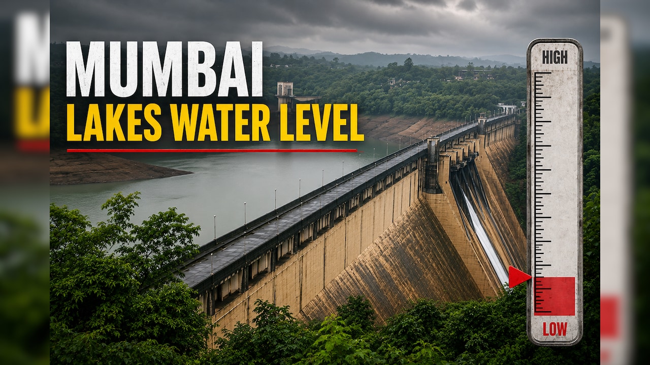 Water level in Mumbai lakes hover dangerously close to 10%; check ...