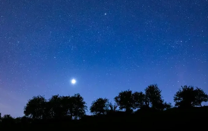 Venus enters Leo, sparking creativity and bold self-promotion