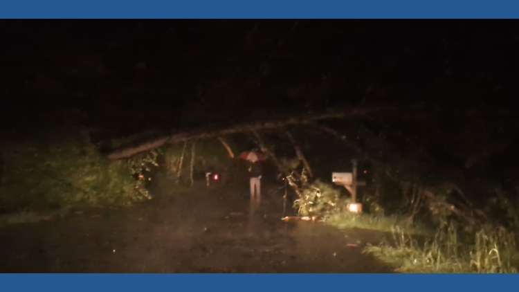 Sunday storms cause damage, power outage in large North Macon neighborhood
