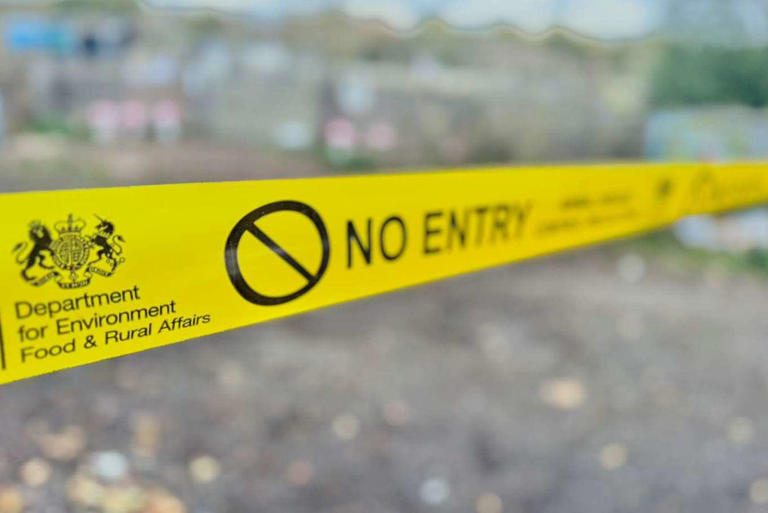 Swale council spends £9k on legal action against Happy Pants Ranch in ...