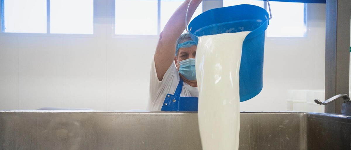 L’ascesa del "re degli erborinati" inventato da 400 maestri caseari