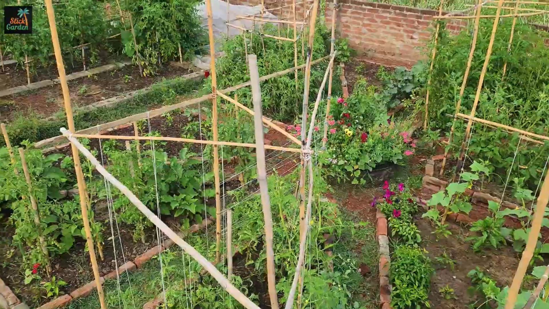 Explore a remarkable vegetable garden packed with fresh ideas