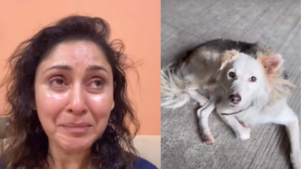‘We’ll get to the bottom of this’: Manjari Fadnnis vows justice after ...