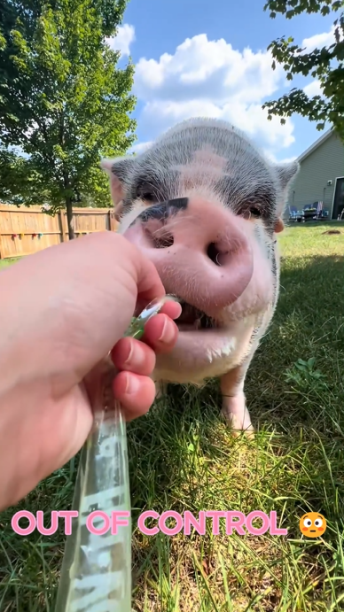 These moments got out of control fast from tantrums to unexpected cuteness