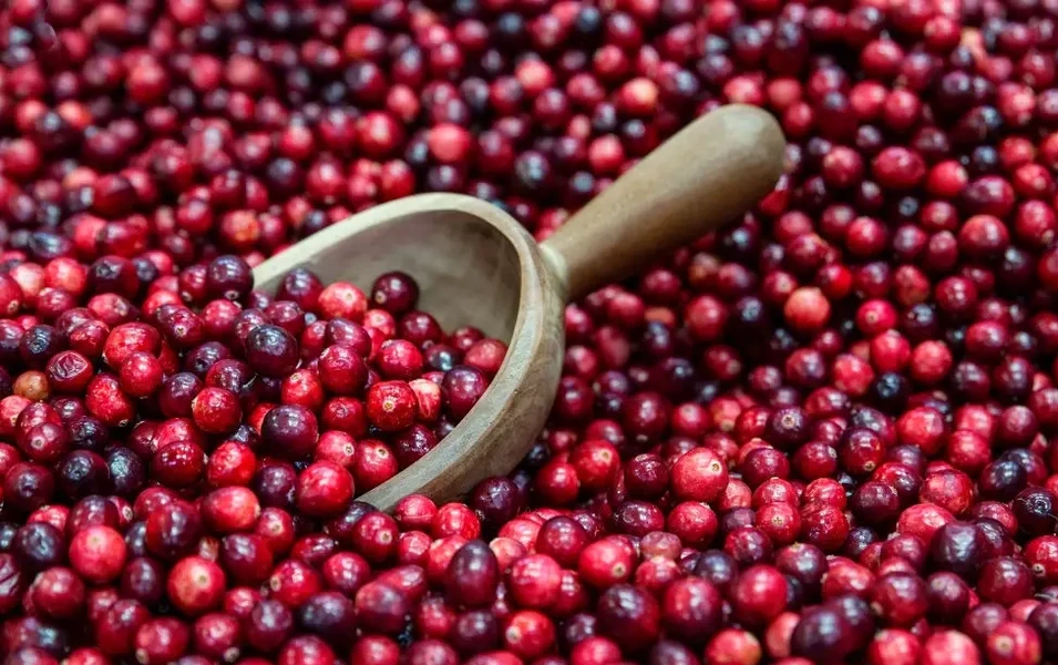 Study finds most miss key heart nutrient despite five-a-day