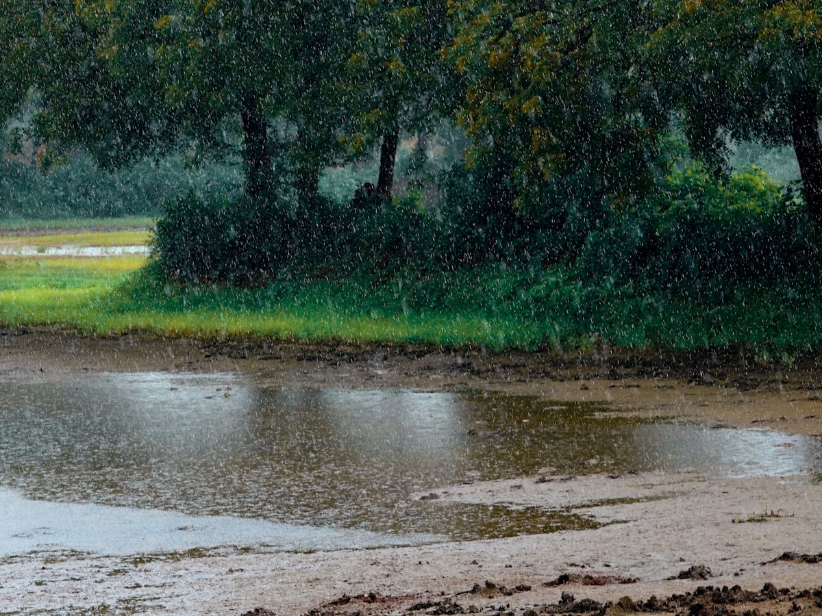 Start van moesson brengt enorme hoeveelheden regen naar Azië: hoe werkt ...