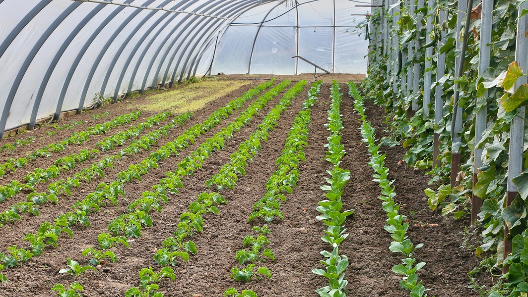 Carney launches $3.2B plan to boost food security and competition