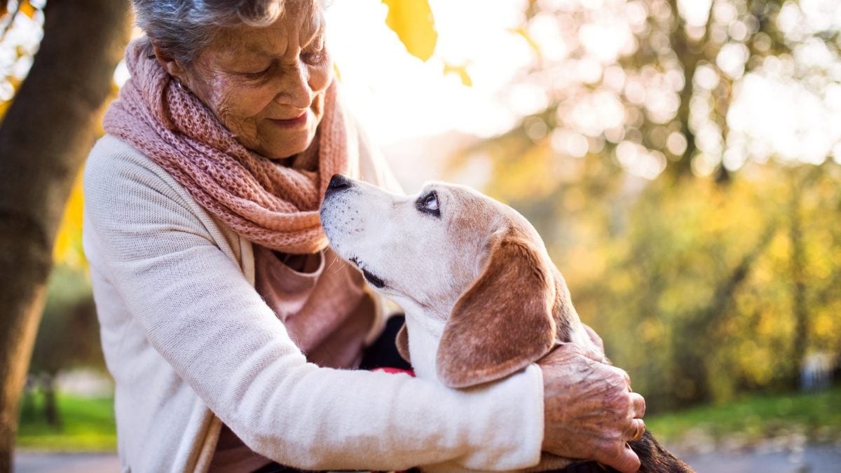 Cani e persone invecchiano nello stesso modo: lo studio che evidenzia ...