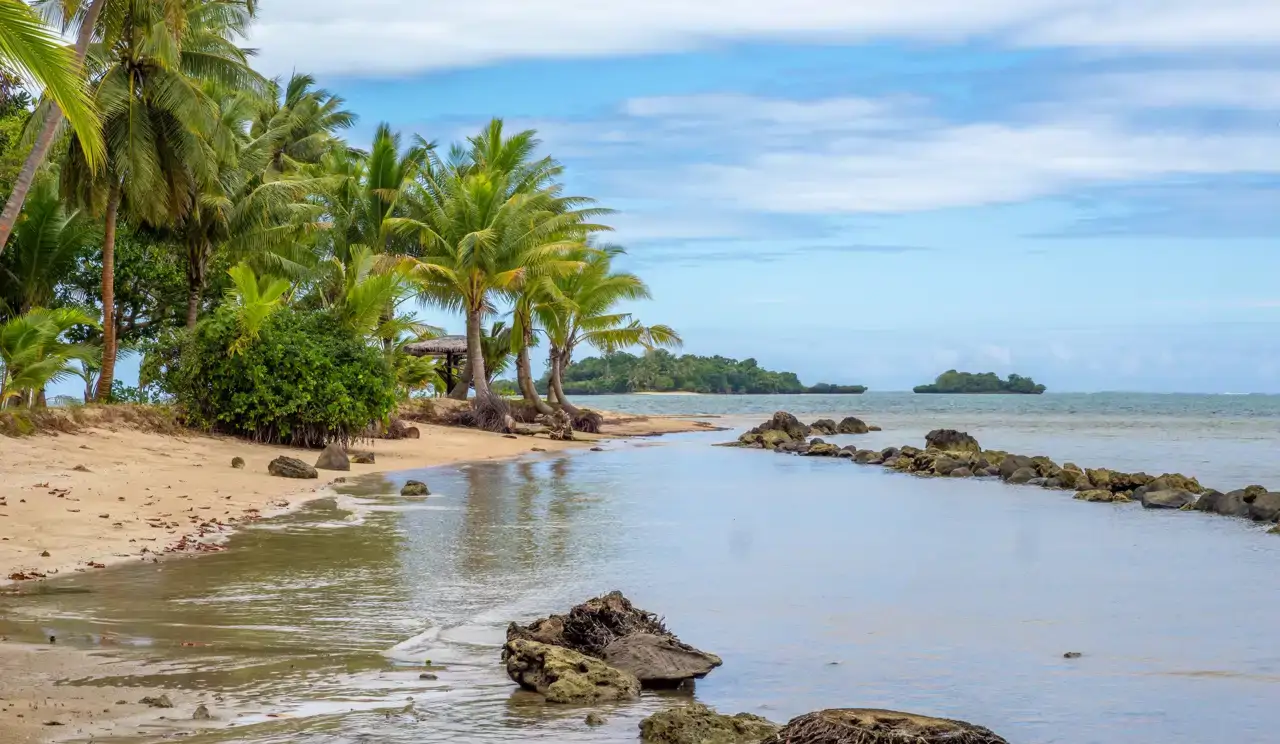 I granchi delle Fiji scoprono un’isola artificiale
