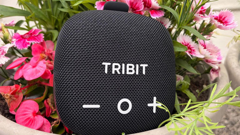 This sub-$70 speaker rivals big names like JBL and Bose — here's my take