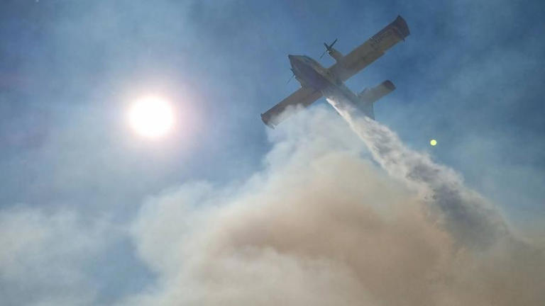 Incendi in Sardegna: "La fascia di protezione di 5 metri non basta"