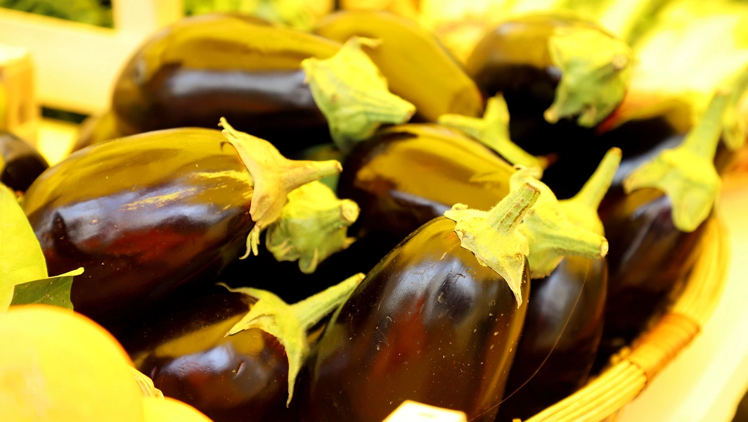 Master the art of cooking eggplant