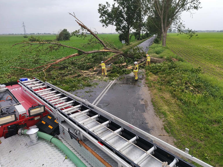 26 interwencji w cztery dni w powiecie szamotulskim. Silny wiatr i ...