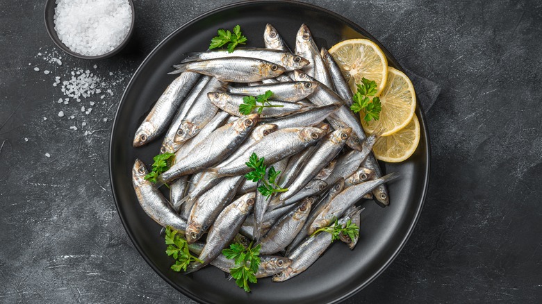 14 facts about sardines you should know