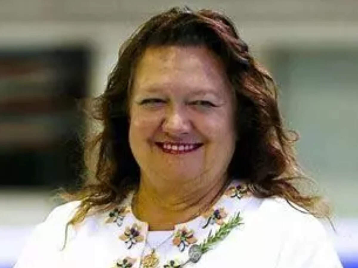 Australia's richest person Rinehart takes $1 billion stake in SpaceX ...