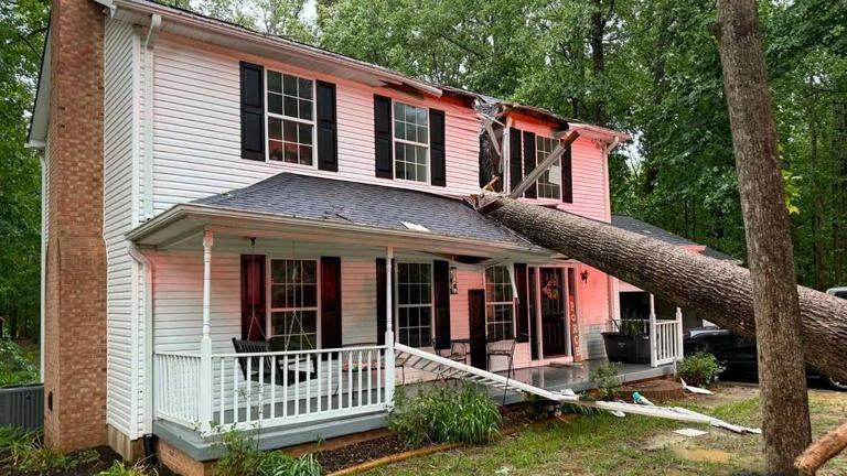 Tree falls into Maryland home, trapping people and pets upstairs