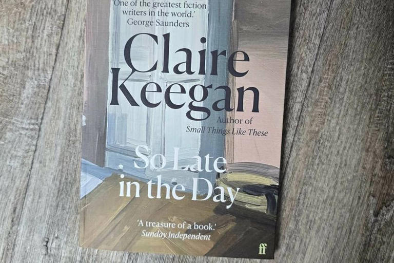 'I've read eight books by Irish authors this year and this was the best'