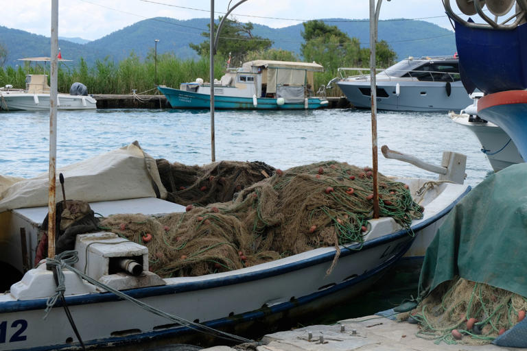 How a Turkish bay came back from the brink of ecological collapse