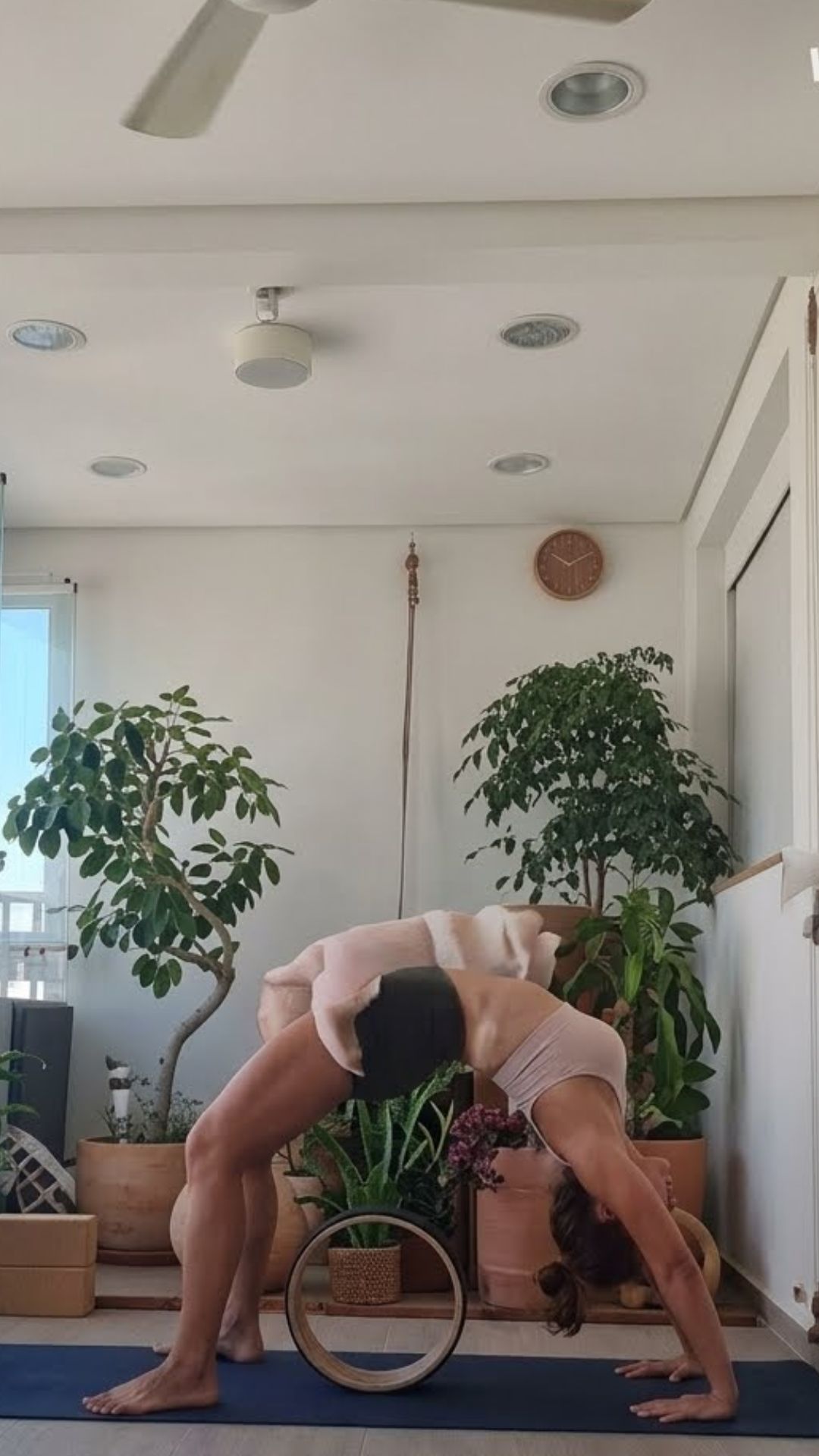 Yoga with a twist mastering the downward facing cat pose