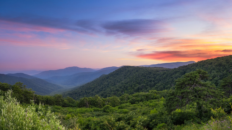 The secret Blue Ridge Mountain trail in Shenandoah National Park that ...