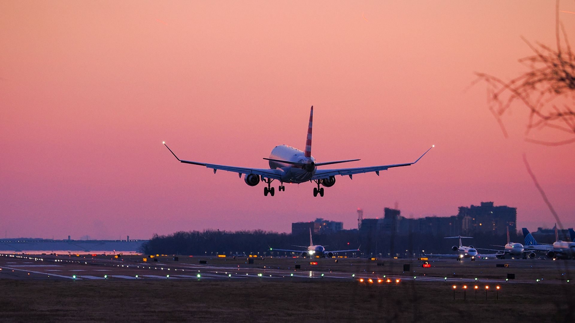 Pilot nearly blinded by Trump's White House UFC lights on Reagan approach