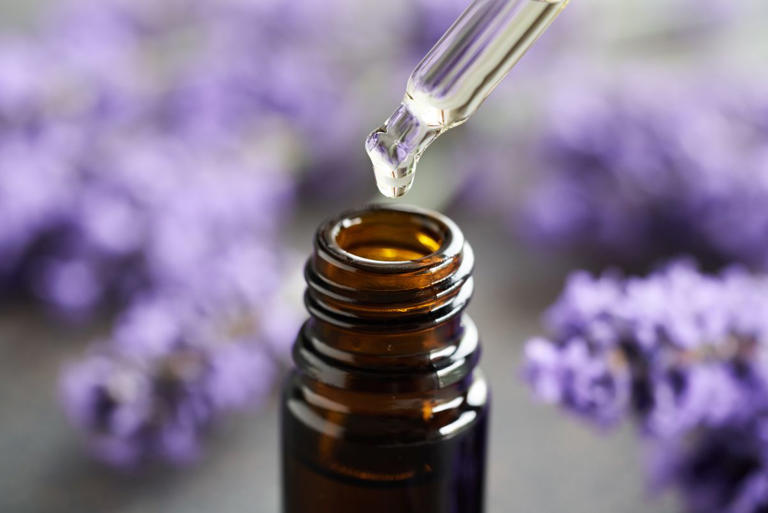 Drôme : Nateva conçoit de l’aromathérapie bio en misant sur les ...