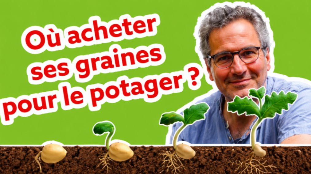 Où acheter des graines sans dépenser une fortune