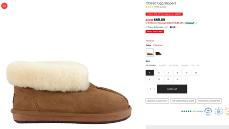 Iconic footwear brand misled Aussies