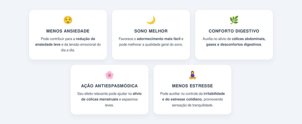 Erva-cidreira: a planta que pode ajudar a acalmar, melhorar o sono e ...