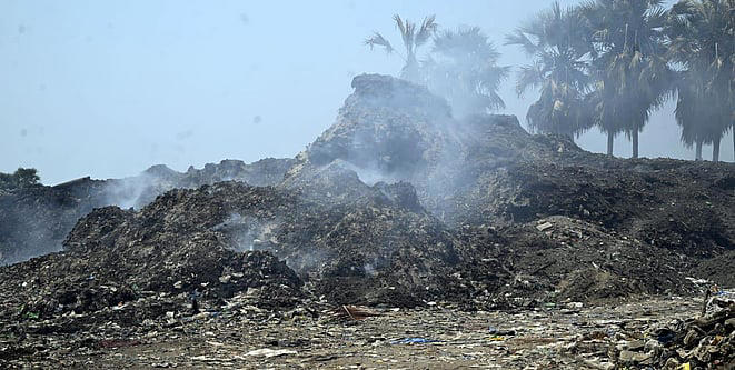 BMC to set up a 50 TPD charcoal plant in Bhubaneswar, to use city’s ...