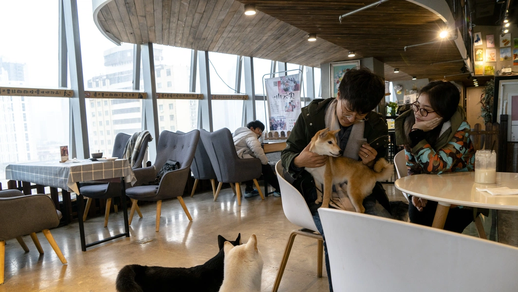 Shanghai's puppy preschool trend signals China's pet economy shift