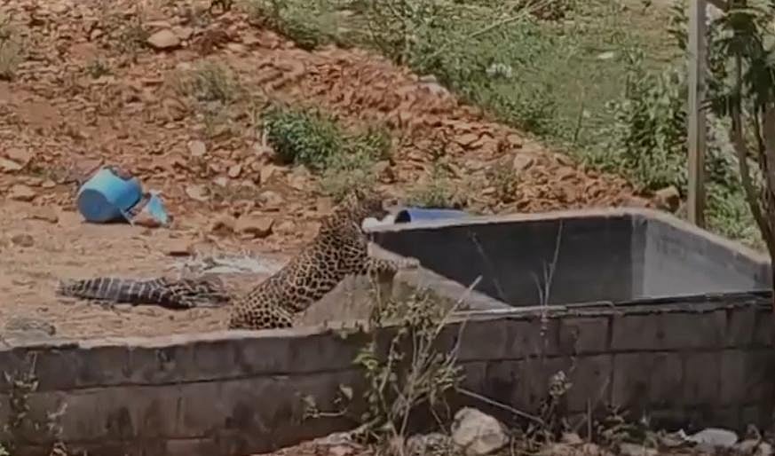 Forest department sounds high alert in Tirupati border areas as ...