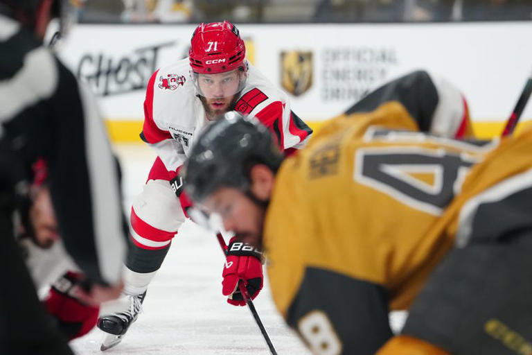 NHL-Hurricanes beat Golden Knights to win second Stanley Cup title ...