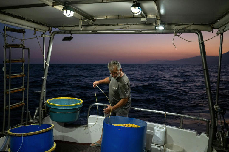 Greek fishermen struggle to keep up with pufferfish invaders