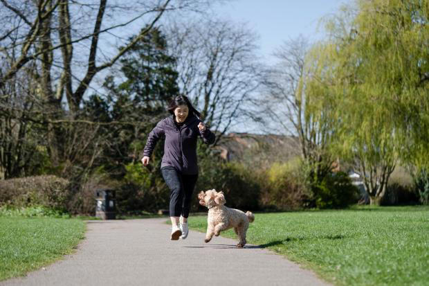 Coastal trail recognised among Britain's best running routes