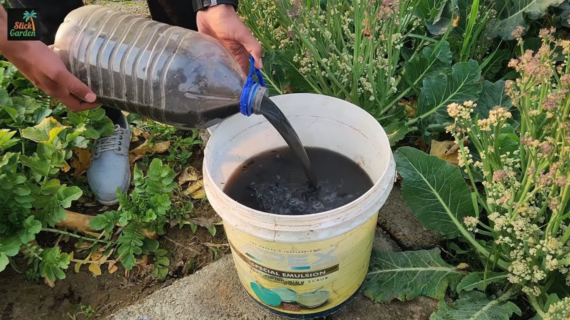 Turn wood ash into plant food: Easy organic fertilizer tutorial