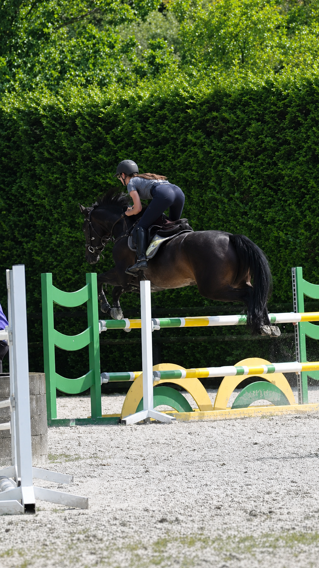 Hoe snel leert een jong springpaard deze hindernissen